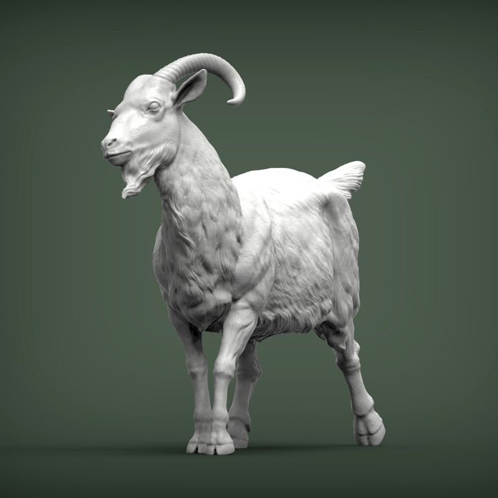 3D Printable Goat by AKUZMENKO