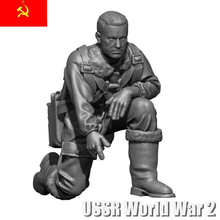 3D Printable USSR Pilot WW2 by Artofwar