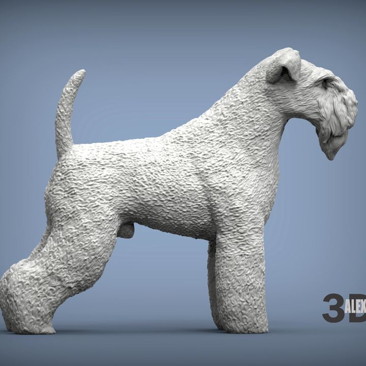 3D Printable kerry blue terrier by Alexander3dart