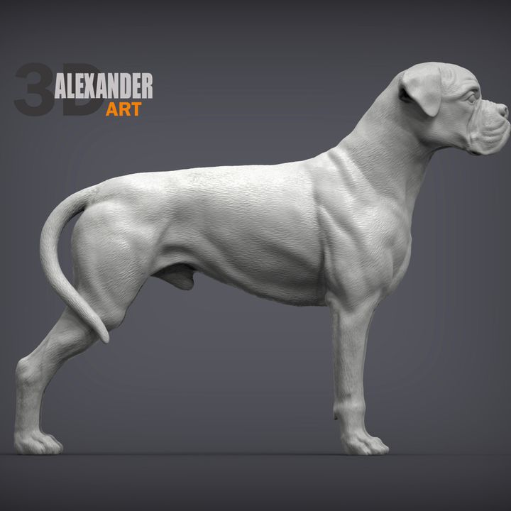 3D Printable Boxer dog by Alexander3dart