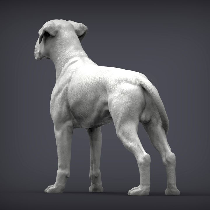 3D Printable Boxer dog by Alexander3dart