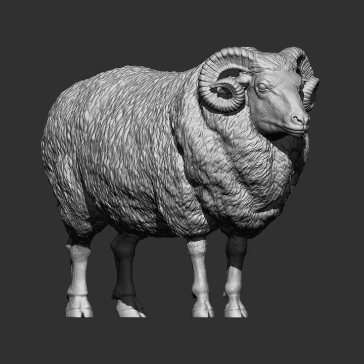 3D Printable ram by Alexander3dart