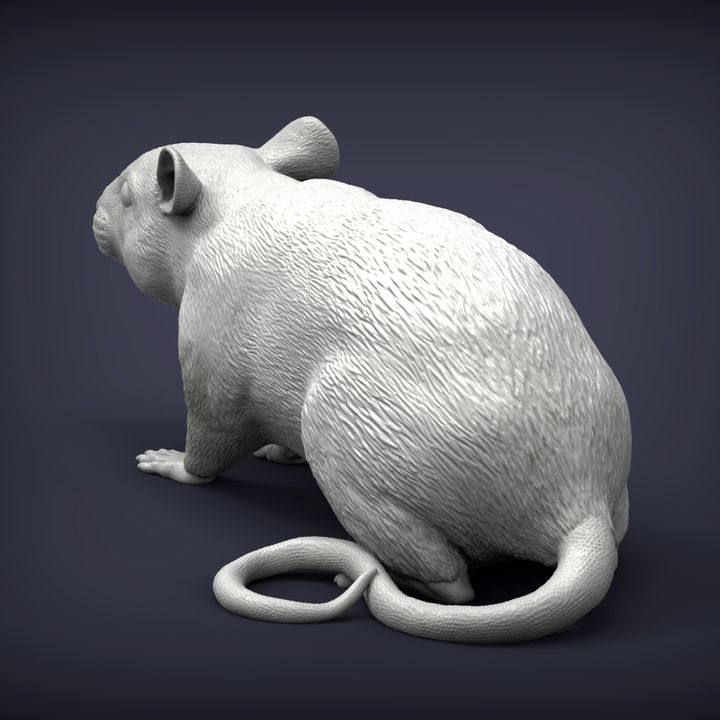 3D Printable rat by AKUZMENKO