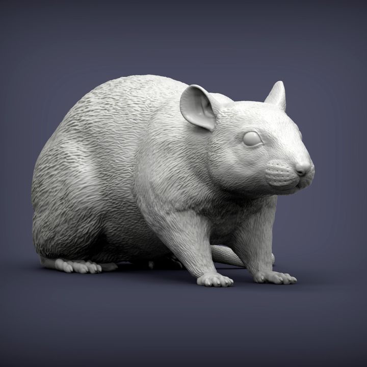 3D Printable rat by AKUZMENKO