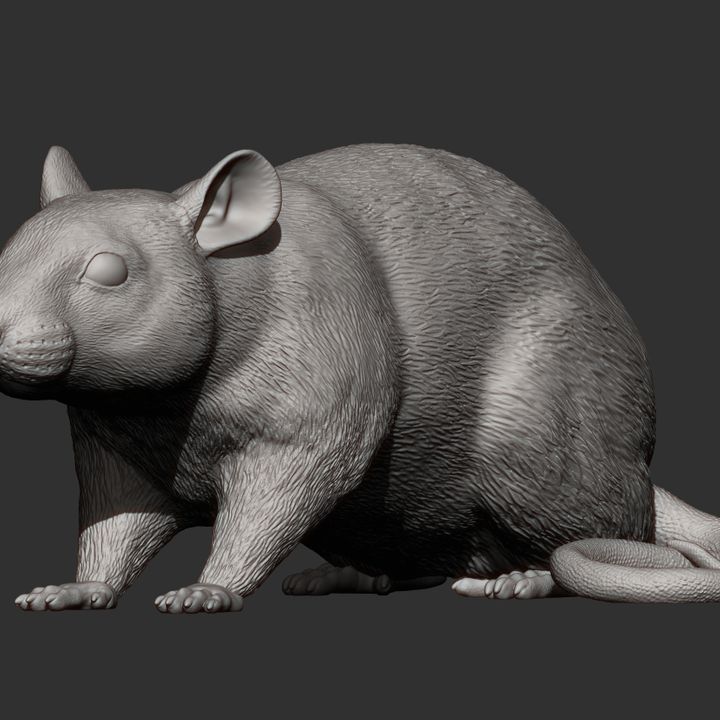 3D Printable rat by AKUZMENKO
