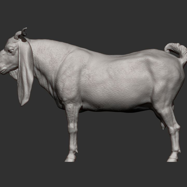 3D Printable Gulabi goat by Alexander3dart