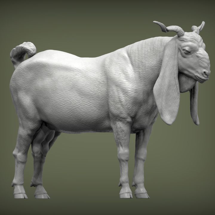 3D Printable Gulabi goat by Alexander3dart