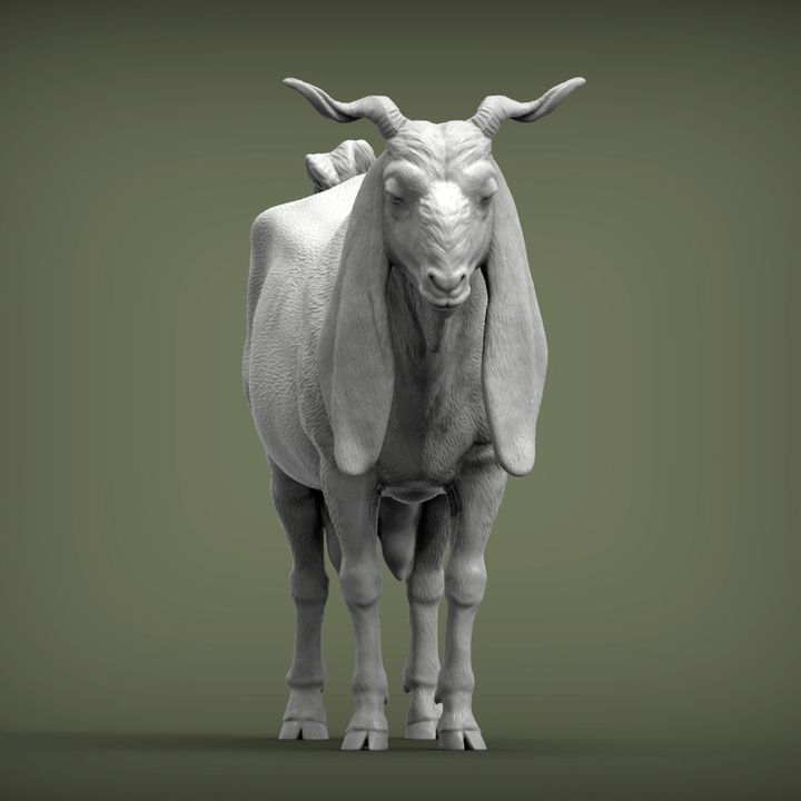 3D Printable Gulabi goat by Alexander3dart