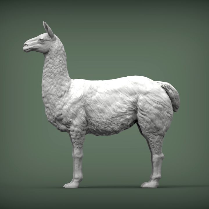 3D Printable lama by Alexander3dart