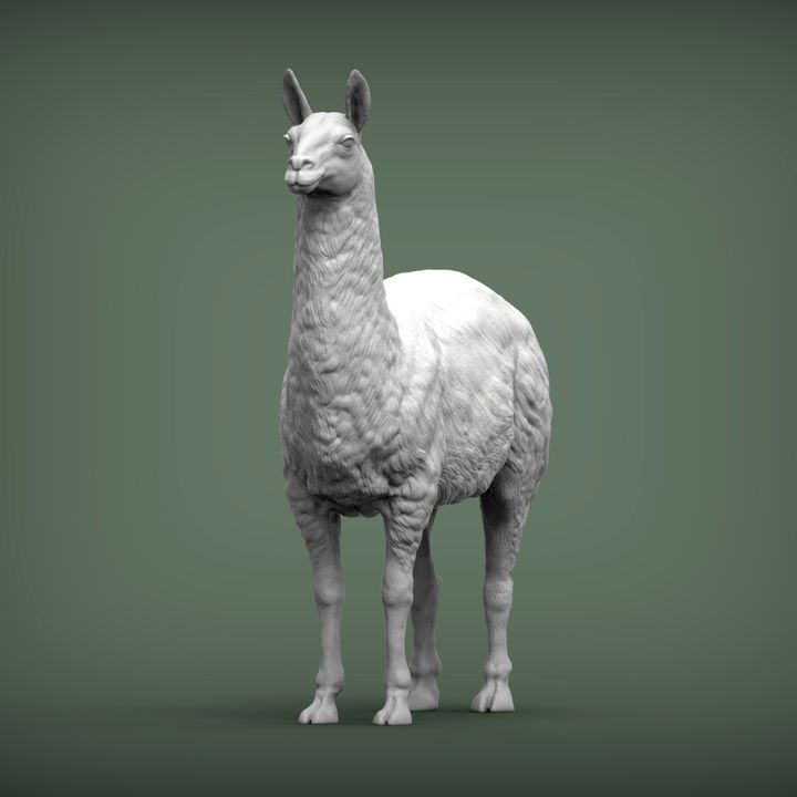 3D Printable lama by Alexander3dart