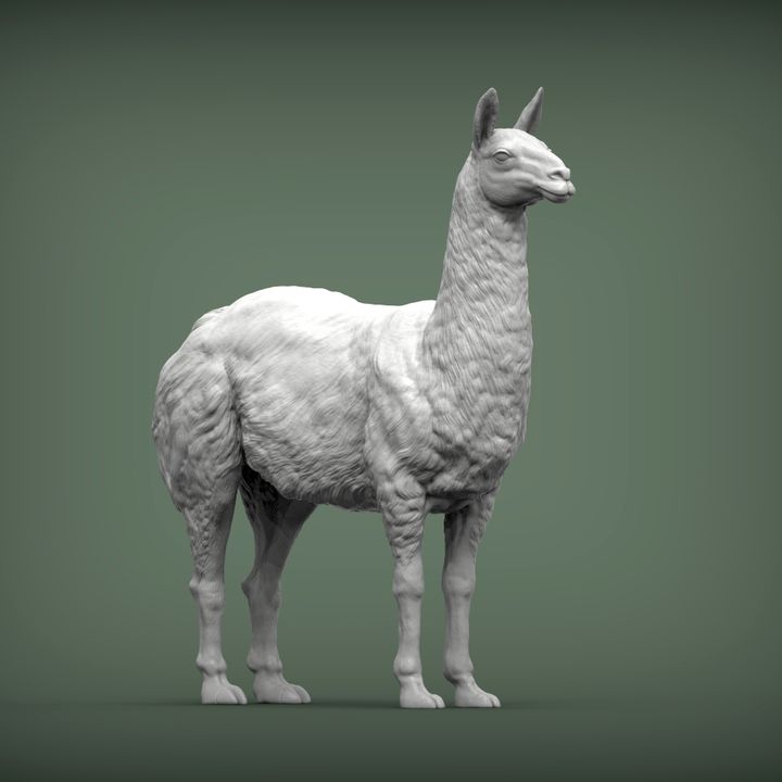 3D Printable lama by Alexander3dart
