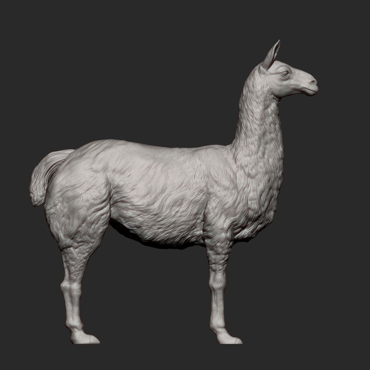 3D Printable lama by Alexander3dart