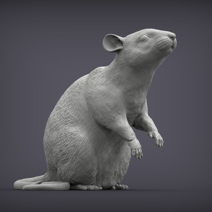 3D Printable Rat on hind legs by Alexander3dart