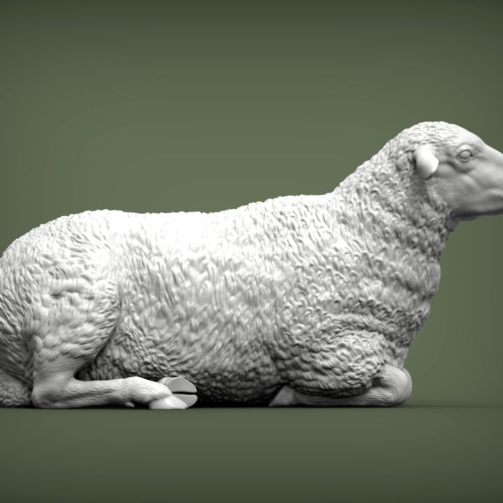 3D Printable Sheep lies by Alexander3dart