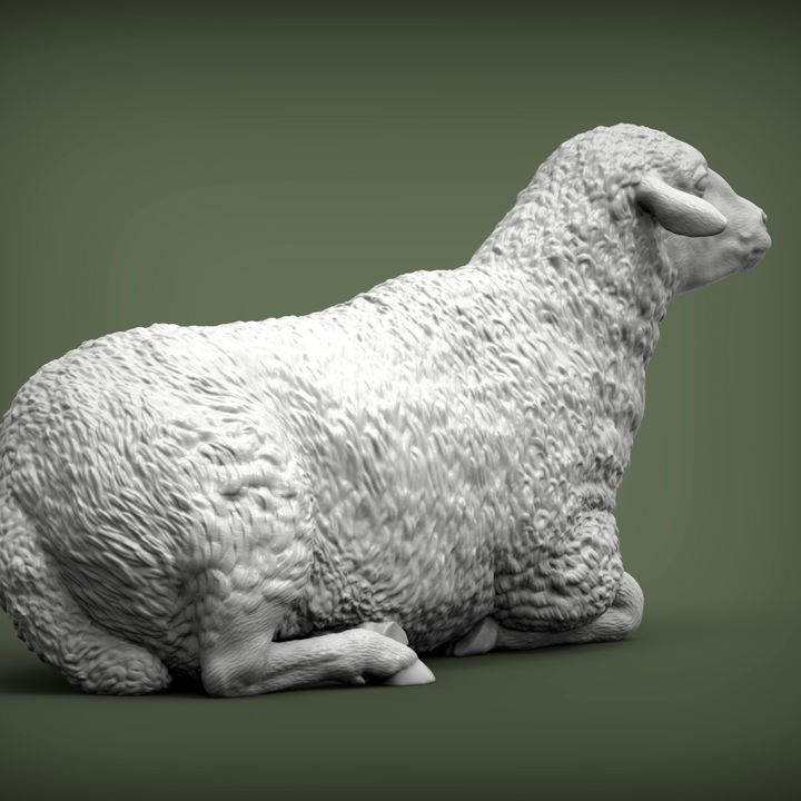 3D Printable Sheep lies by Alexander3dart