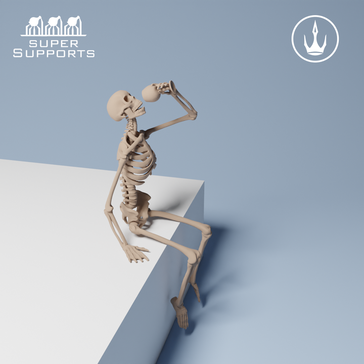 3D Printable Human skeleton poses 17-20 by The King of Bits