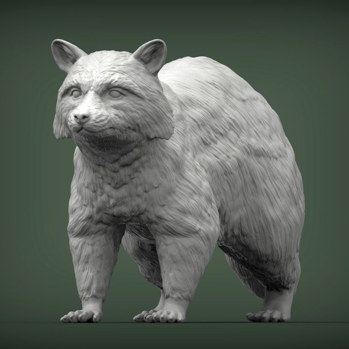 3D Printable Raccoon by AKUZMENKO