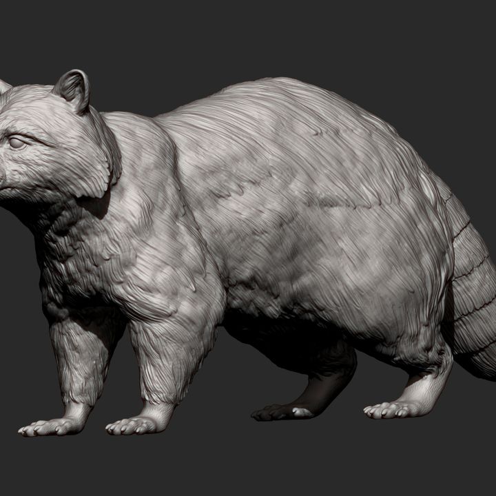 3D Printable Raccoon by Alexander3dart