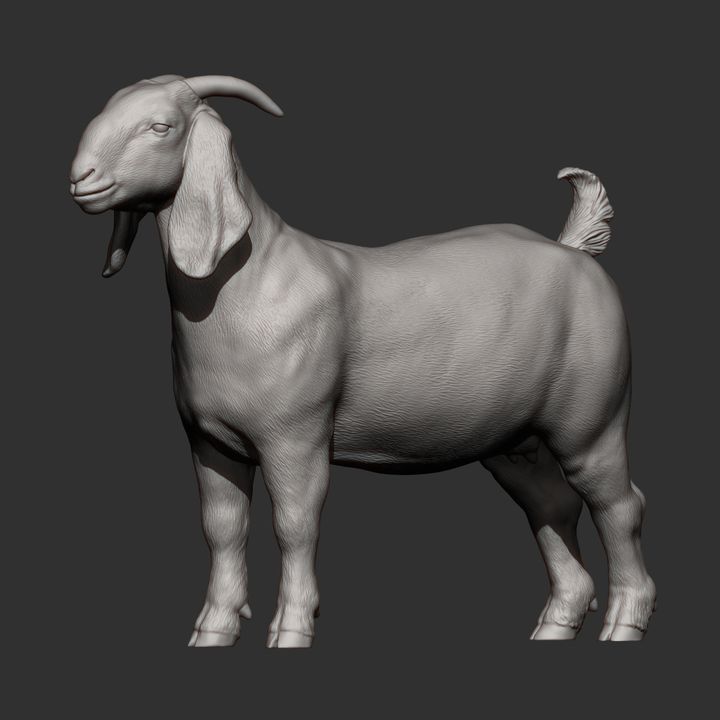 3D Printable Boer Goats female by Alexander3dart