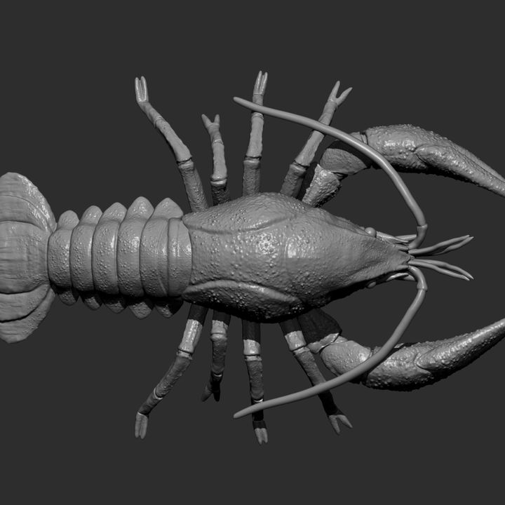 3D Printable Crayfish by AKUZMENKO