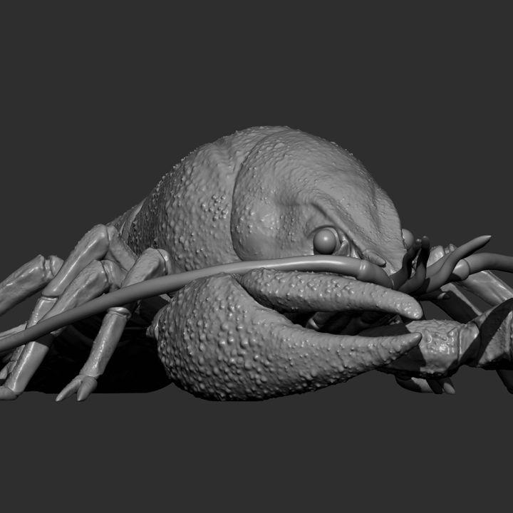 3D Printable Crayfish by AKUZMENKO