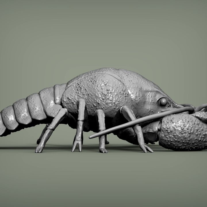 3D Printable Crayfish by AKUZMENKO