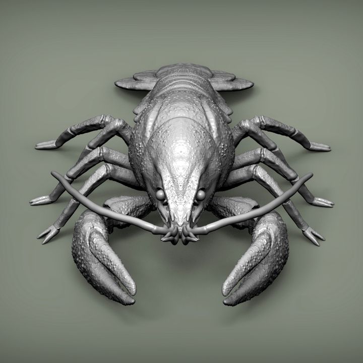 3D Printable Crayfish by AKUZMENKO