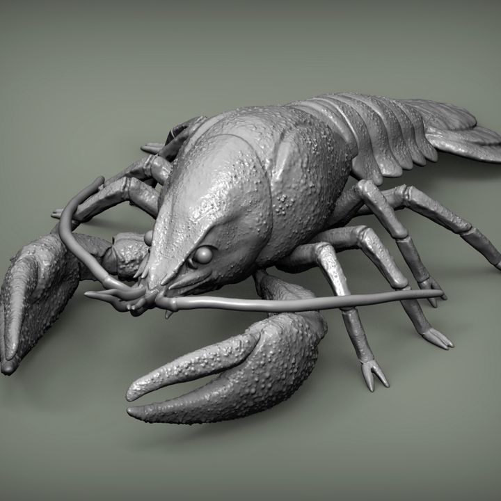 3D Printable Crayfish by AKUZMENKO
