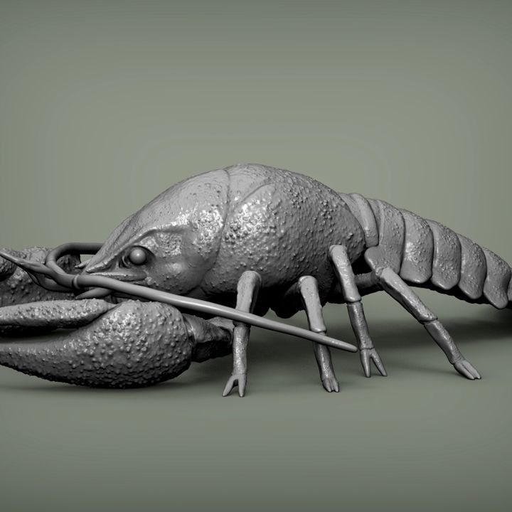 3D Printable Crayfish by AKUZMENKO