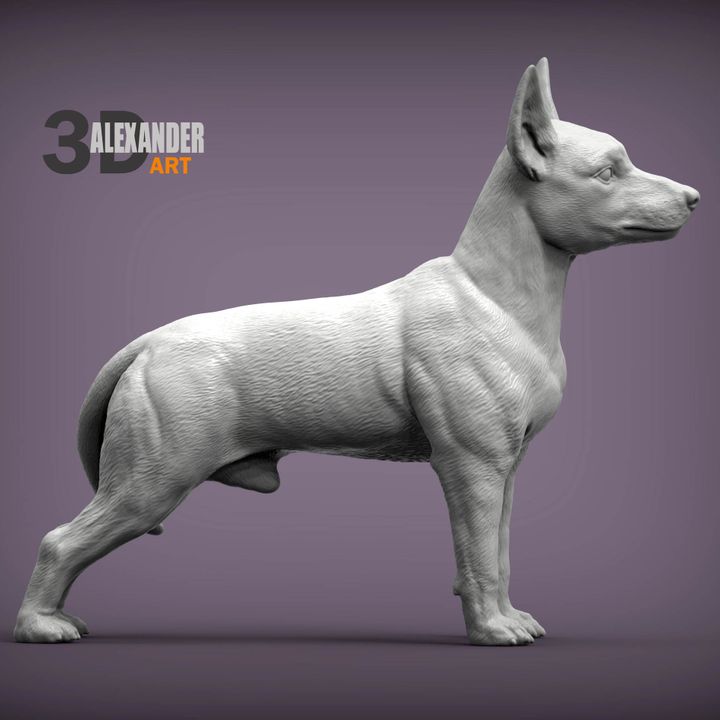 3D Printable Miniature Pinscher by Alexander3dart