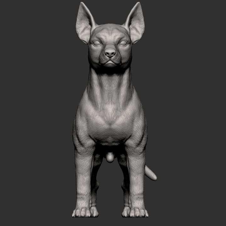 3D Printable Miniature Pinscher by Alexander3dart