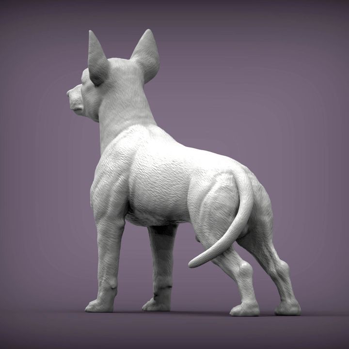 3D Printable Miniature Pinscher by Alexander3dart