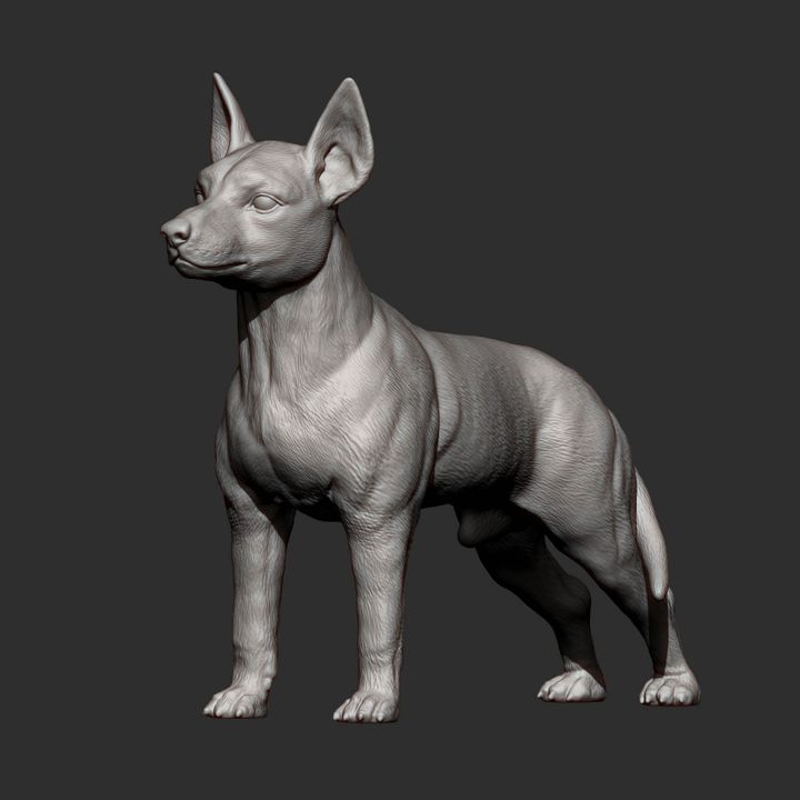3D Printable Miniature Pinscher by Alexander3dart