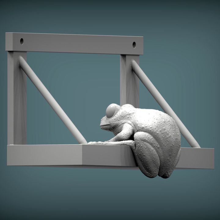 3D Printable frog on the shelf by Alexander3dart