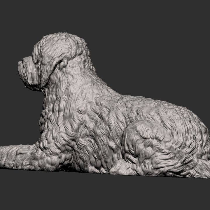 3D Printable Goldendoodle lies by AKUZMENKO