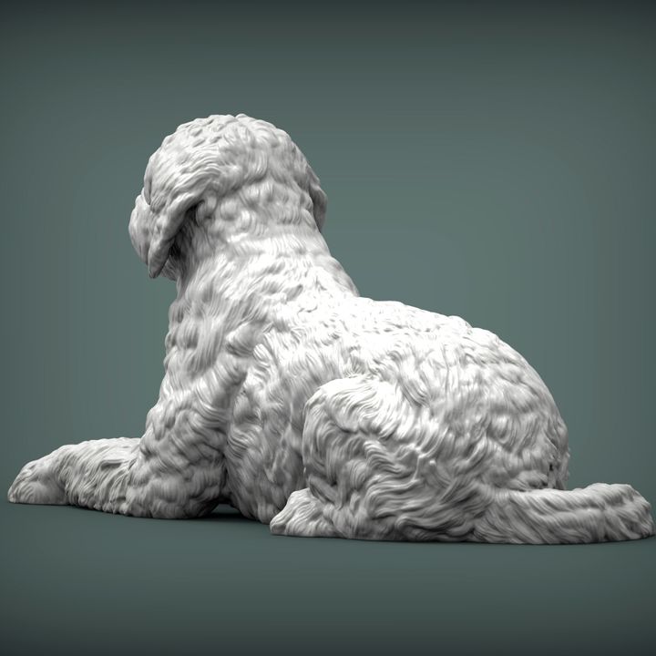 3D Printable Goldendoodle lies by Alexander3dart