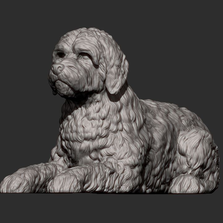 3D Printable Goldendoodle lies by AKUZMENKO