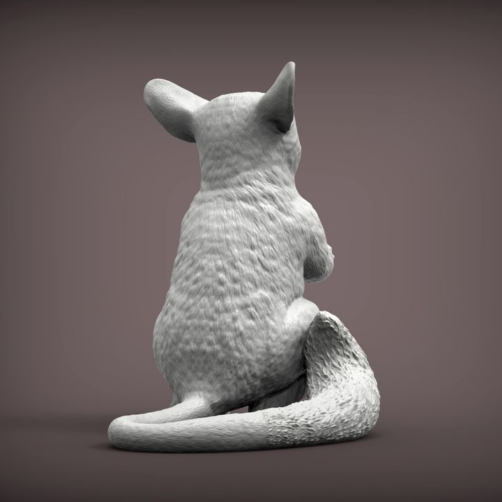 3D Printable Smnigalsky galago bush baby by AKUZMENKO