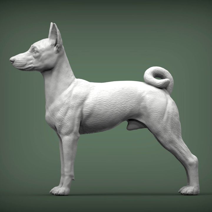 3D Printable basenji by Alexander3dart