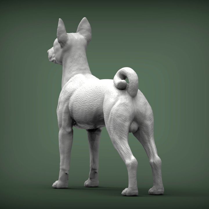 3D Printable basenji by Alexander3dart
