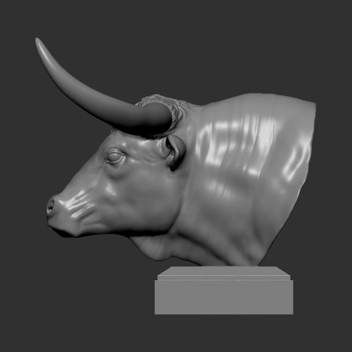 3D Printable Texas Longhorn Bust by AKUZMENKO