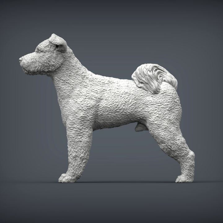 3D Printable pumi by AKUZMENKO