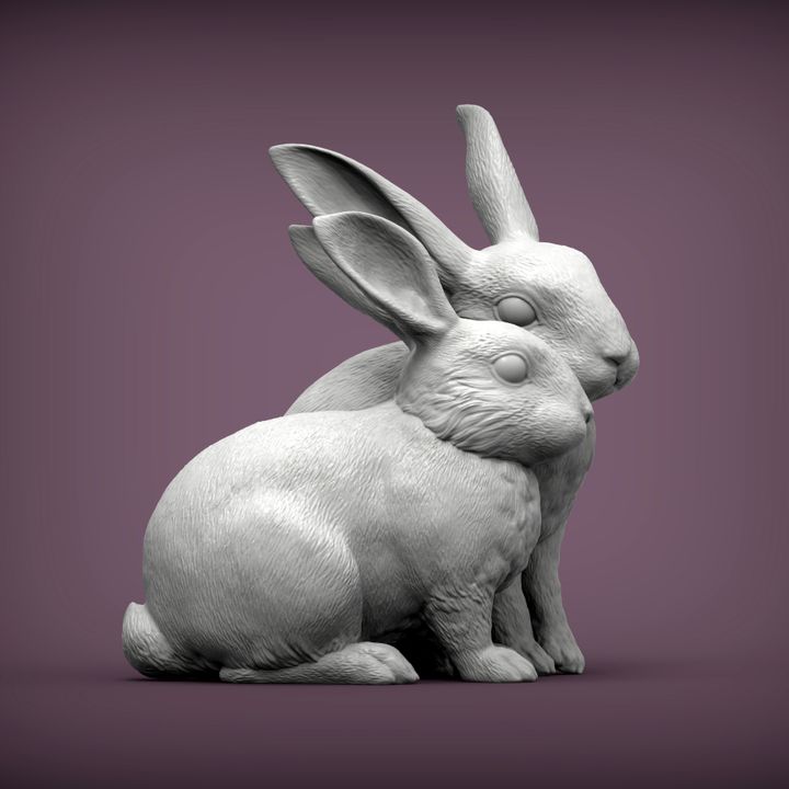 3D Printable Rabbit love by Alexander3dart