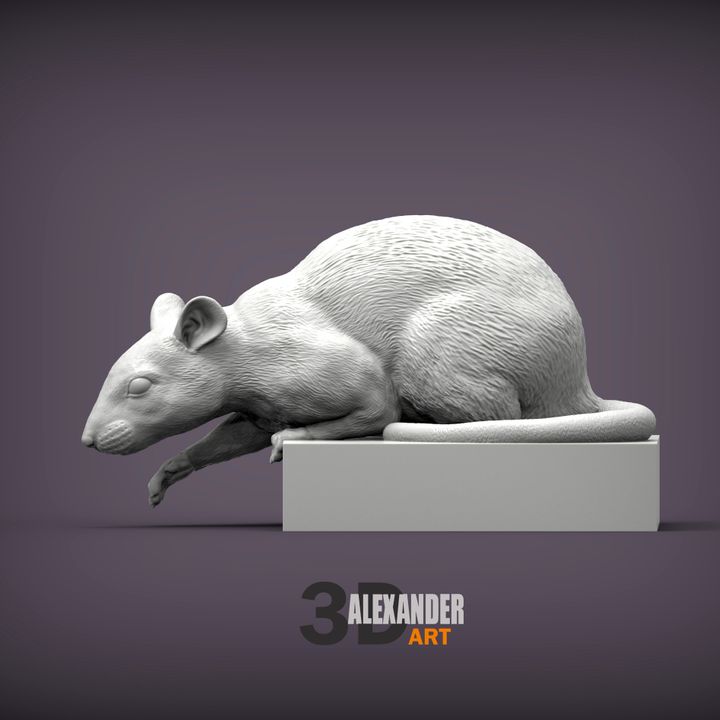 3D Printable rat looking down by Alexander3dart