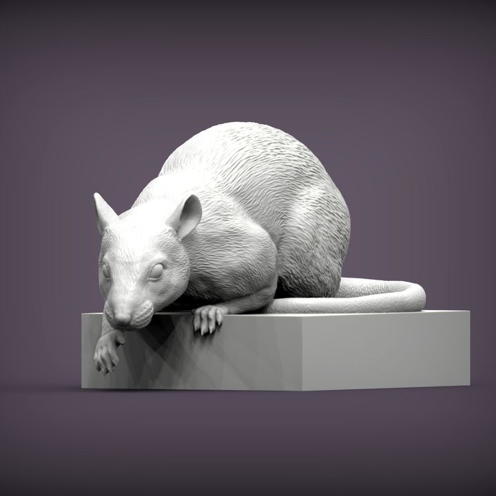 3D Printable rat looking down by Alexander3dart