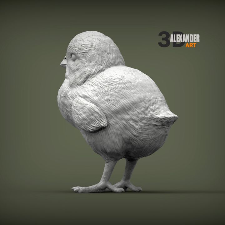 3D Printable Chick by Alexander3dart