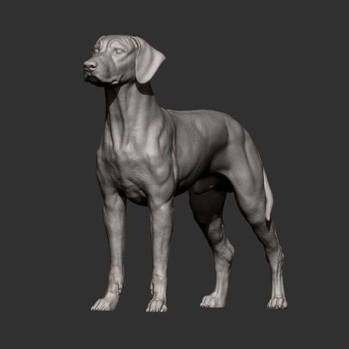 3D Printable rhodesian ridgeback by Alexander3dart