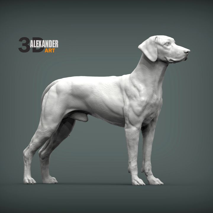 3D Printable rhodesian ridgeback by Alexander3dart