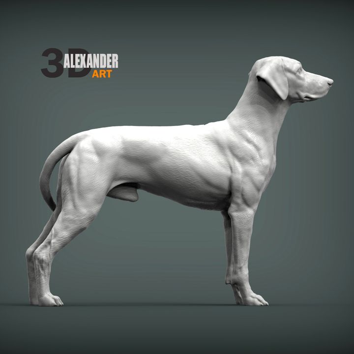 3D Printable rhodesian ridgeback by Alexander3dart