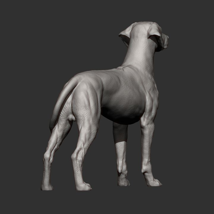 3D Printable rhodesian ridgeback by Alexander3dart
